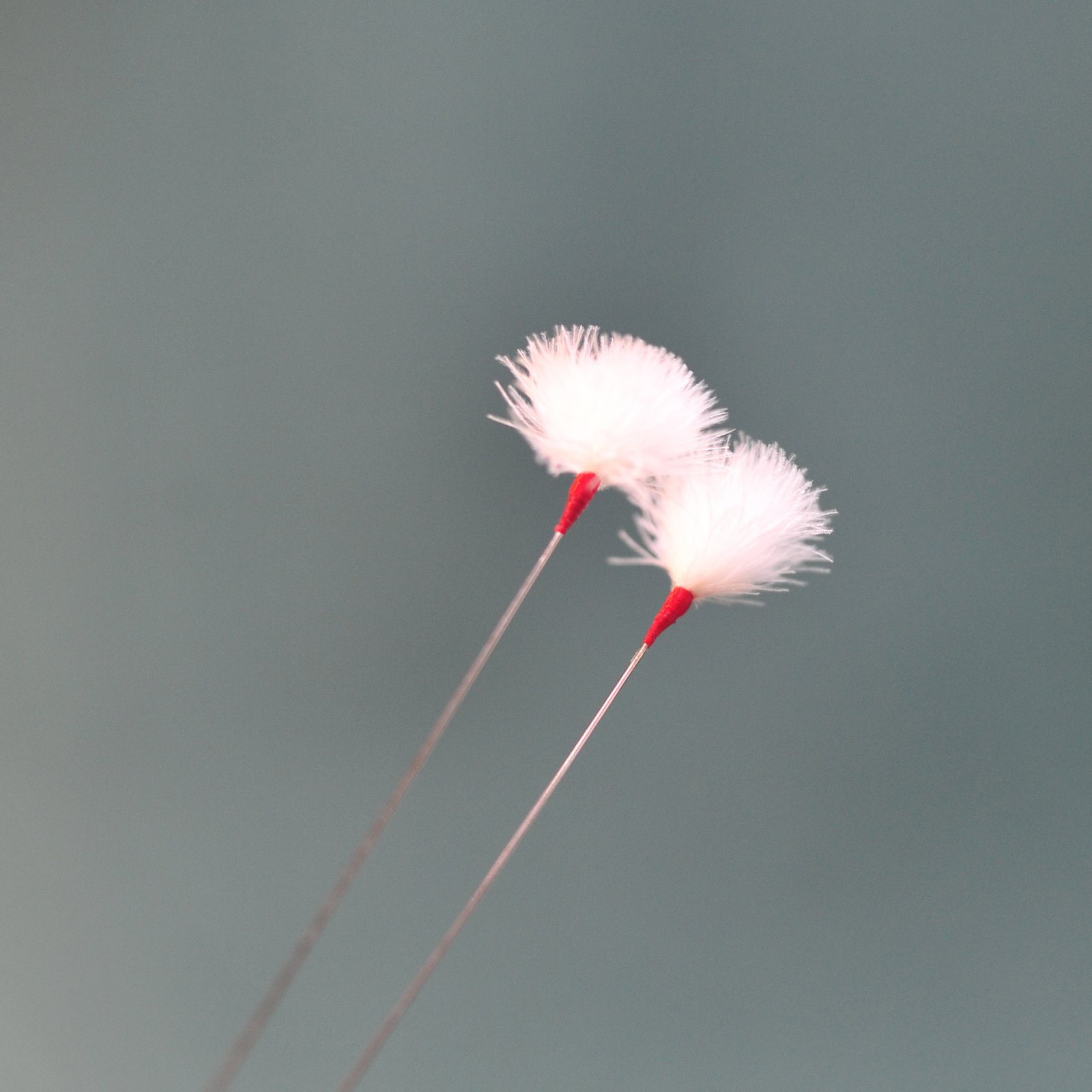 10-Piece Silver Goose Feather Ear Cleaning Kit – Home Use Soothing Tool ...